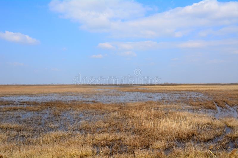 A Geography of “Gepidia” | A Queen's Cup